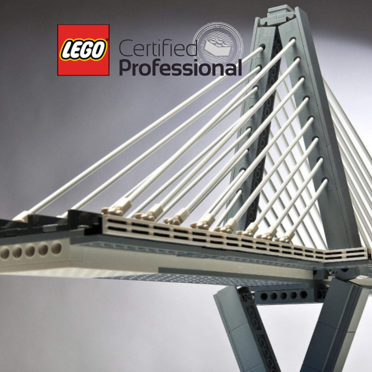LEGO Certified Professionals – Special Bricks